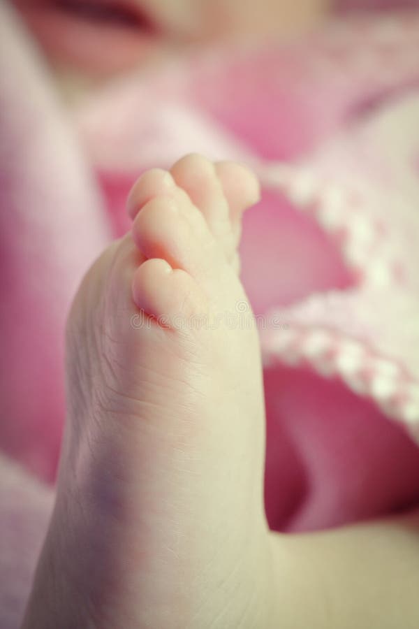 Baby Leg stock image. Image of delicate, gland, buoyancy - 23244629