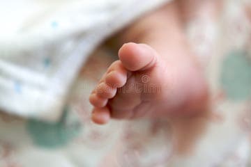 817 Fond Baby Stock Photos - Free & Royalty-Free Stock Photos from ...