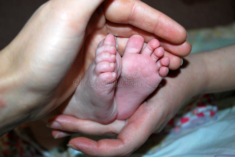 Baby legs stock photo. Image of little, hands, born, happy - 77626426