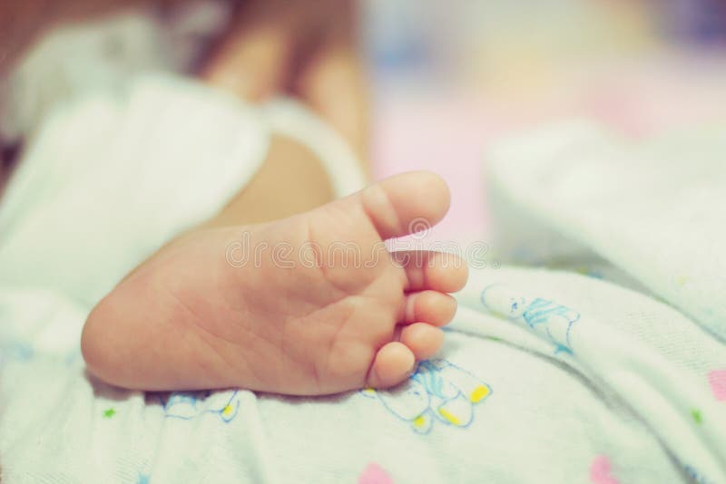 Baby legs stock photo. Image of soft, baby, body, infant - 61205722