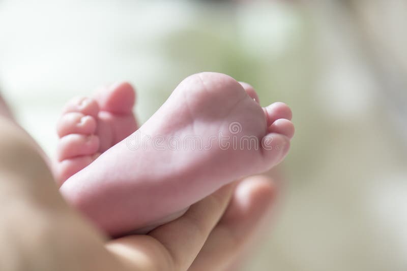 Baby leg stock photo. Image of hand, hold, life, beautiful - 81218216