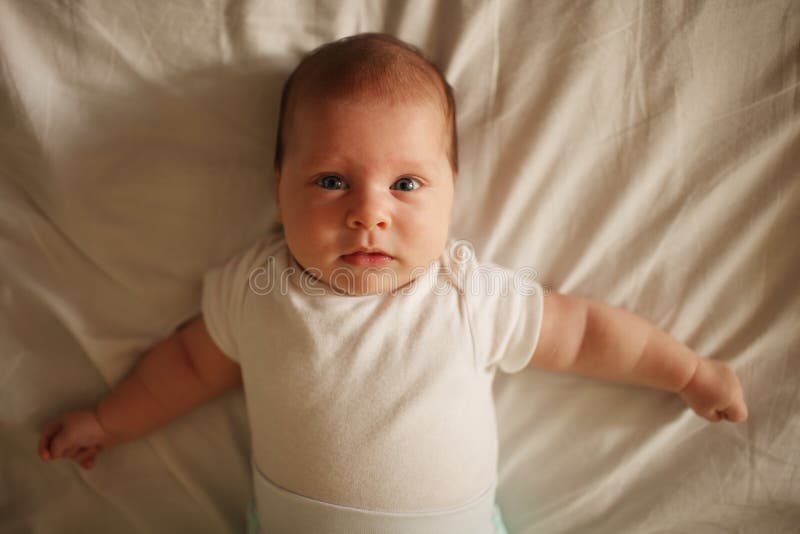 Baby looking at camera stock image. Image of child, little - 19121331