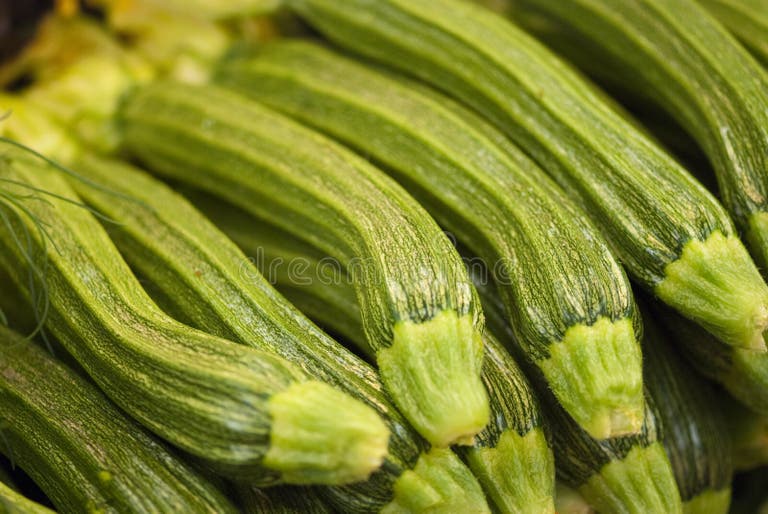 Baby Marrows at the Market stock photo. Image of italy - 14673684