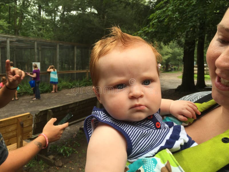 Baby mean red head editorial stock photo. Image of mean - 58867833