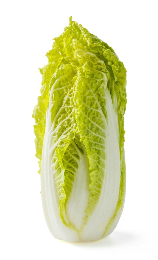 Baby Michilli Chinese Cabbage Stock Image - Image of chinese, salad ...