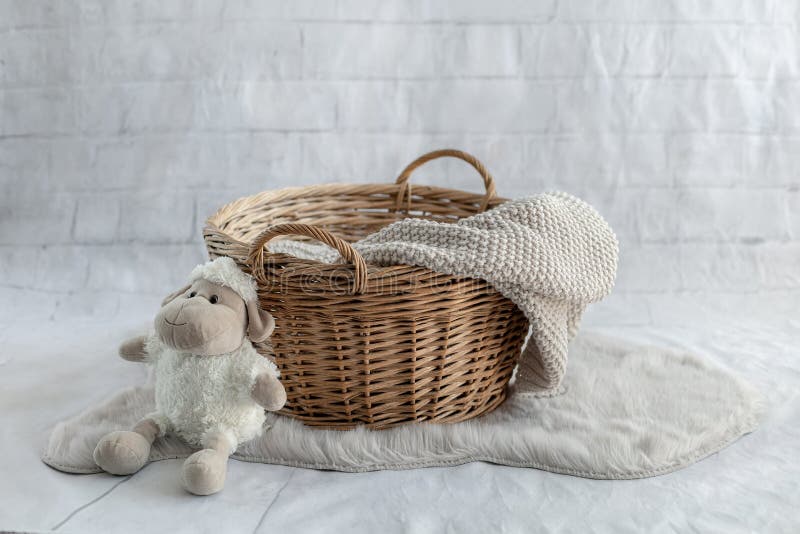 Baby nest with basket stock image. Image of empty, nature - 254031815