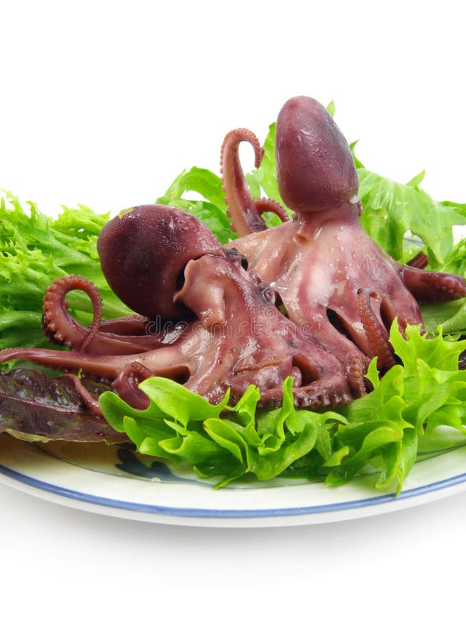 Baby octopus stock image. Image of diet, gourmet, eating - 26993041