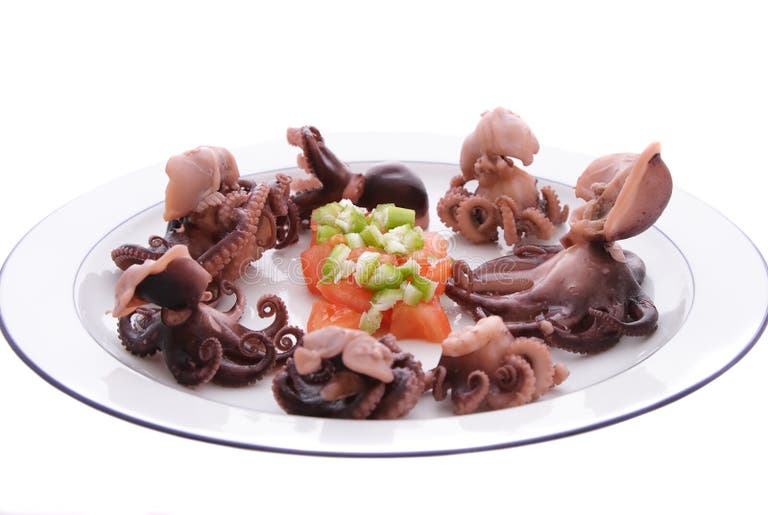 Baby Octopuss stock photo. Image of seafood, plate, curled - 3702024