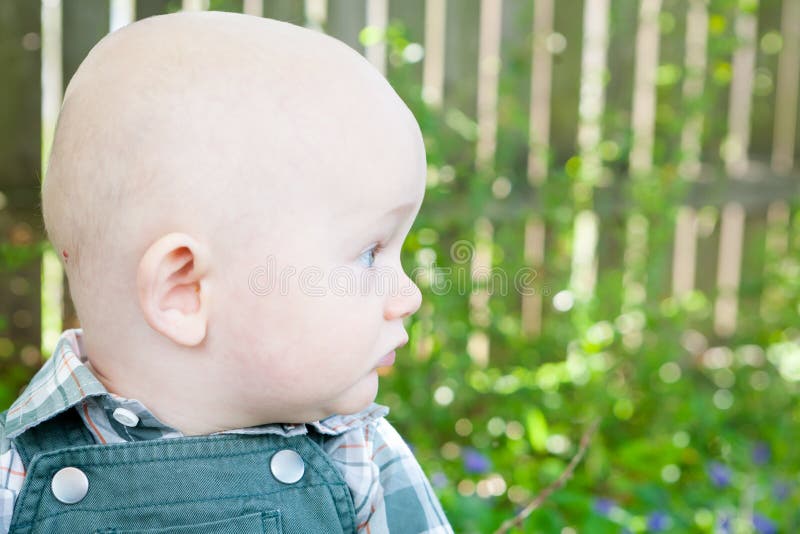 Baby Outside stock photo. Image of spring, playing, outside - 48242850