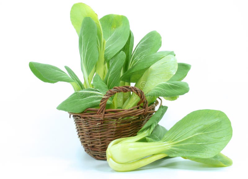 Baby pak choi stock image. Image of nature, cabbage, decoration - 54695999