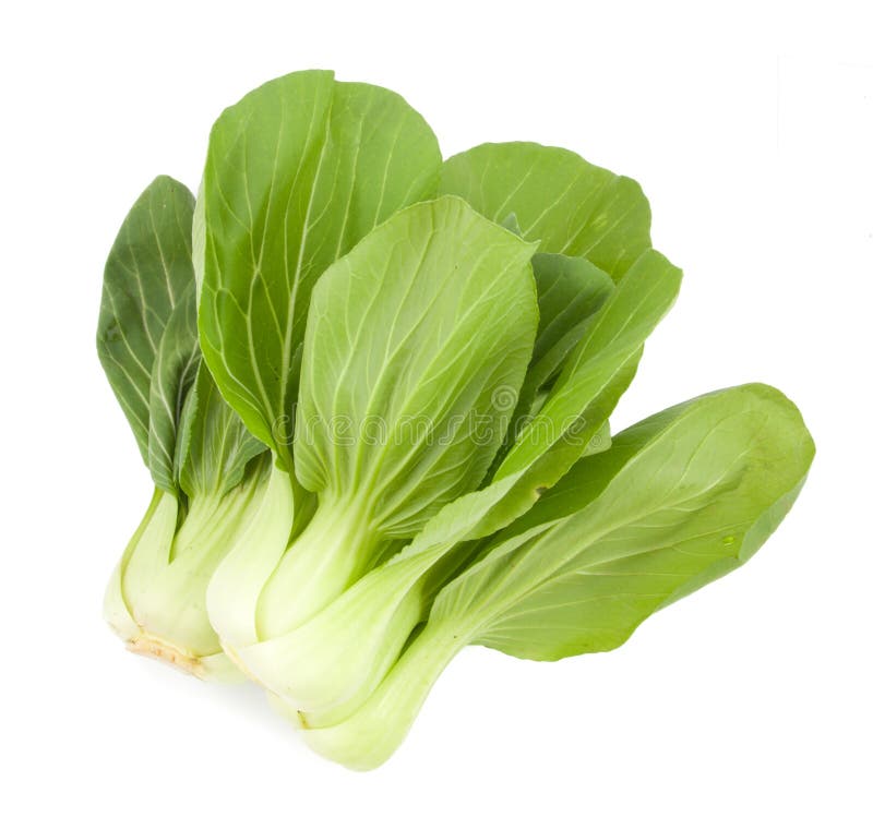 Baby Pak Choy on white stock image. Image of choy, china - 68904043