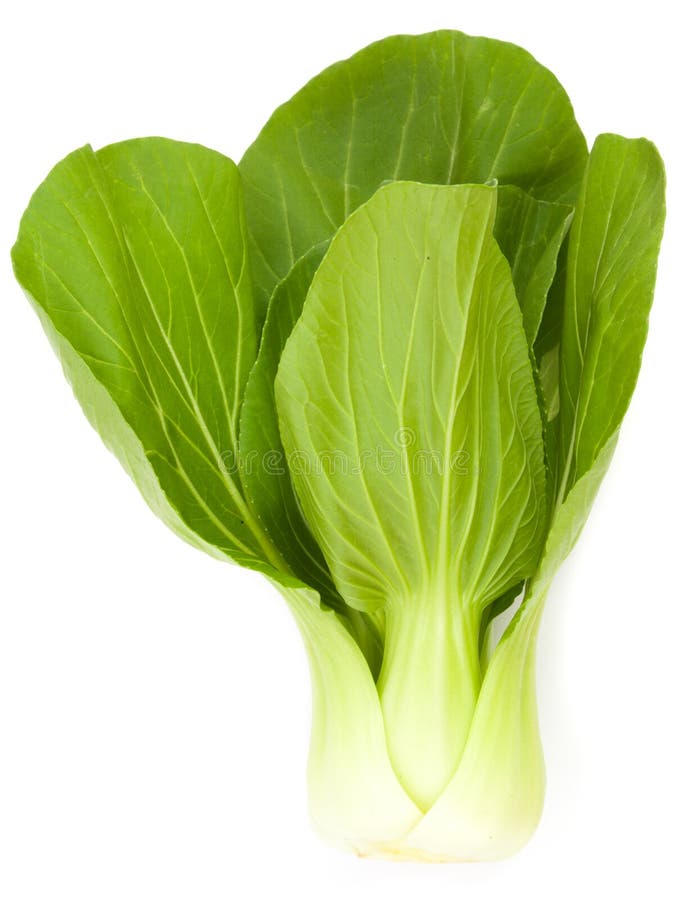 Baby Pak Choy on white stock image. Image of isolated - 78849683
