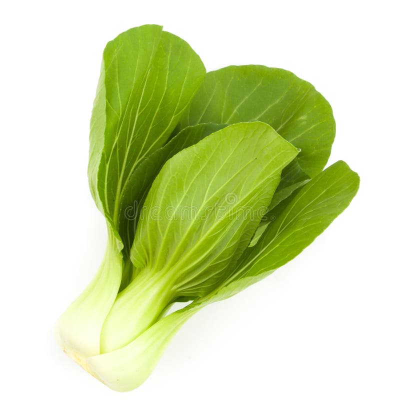 Baby Pak Choy on white stock image. Image of cook, qing - 74918967