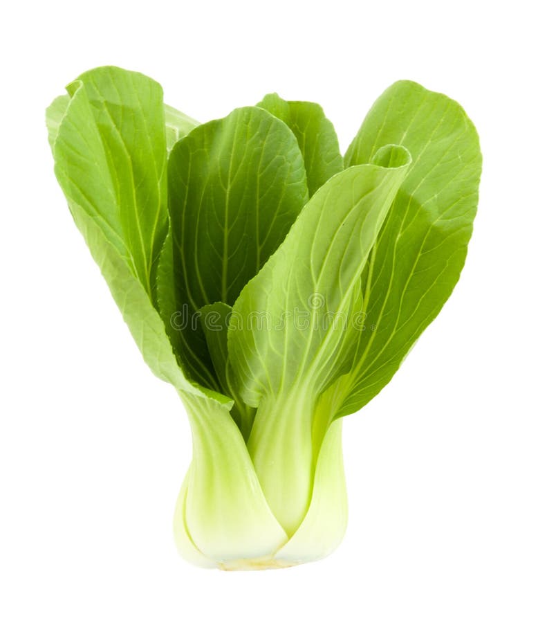 Baby Pak Choy on white stock image. Image of isolated - 76331821