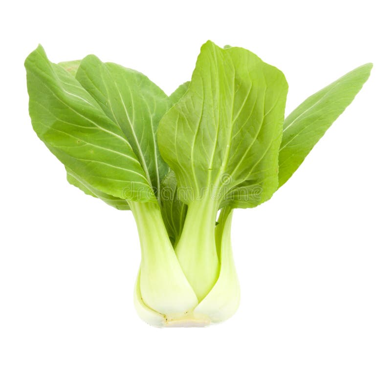 Baby Pak Choy on white stock image. Image of isolated - 78849683