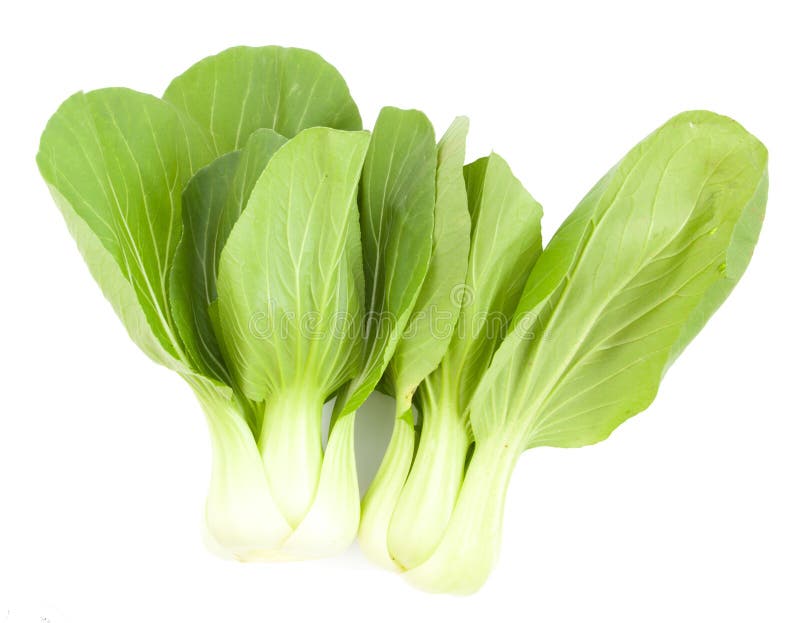 Baby Pak Choy on white stock image. Image of isolated - 78849683
