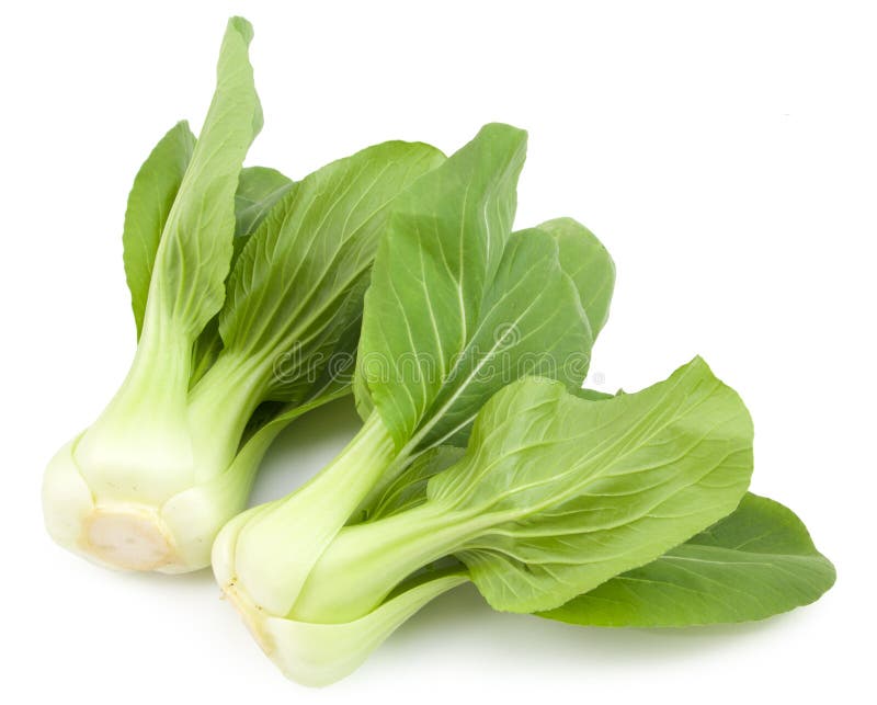 Baby Pak Choy on white stock image. Image of cook, qing - 74918967