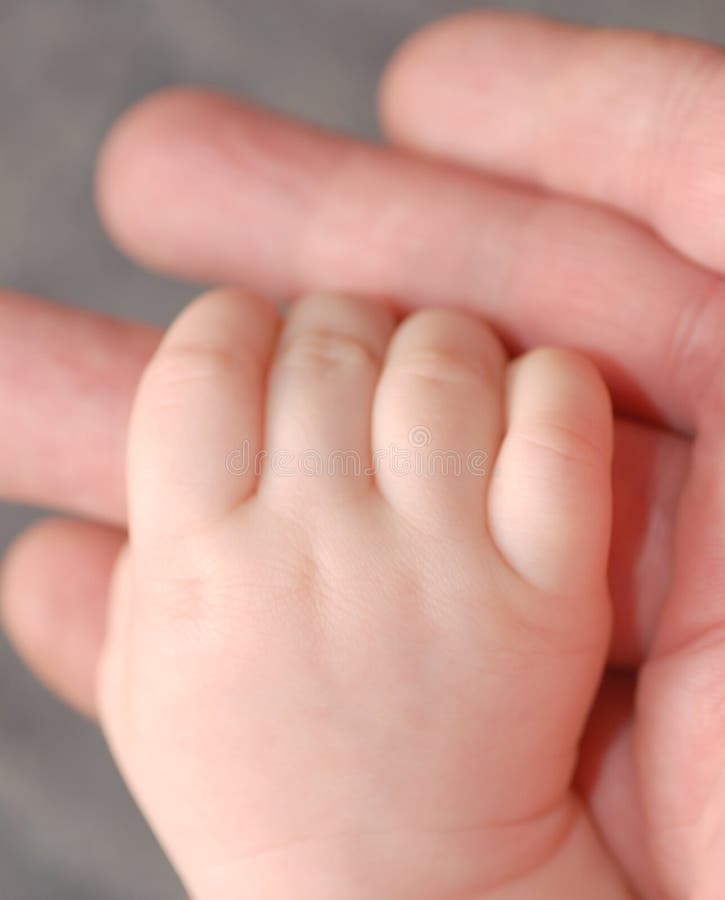 Baby palm in father hand stock image. Image of father - 7928997