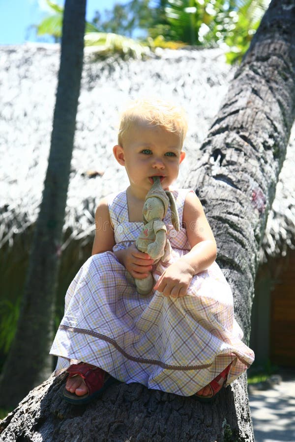 Baby on a palm tree stock image. Image of tree, hawaii - 12596031