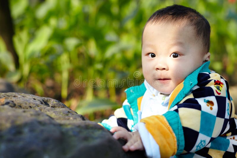 Baby peep out of the stone stock image. Image of innocence - 48251433