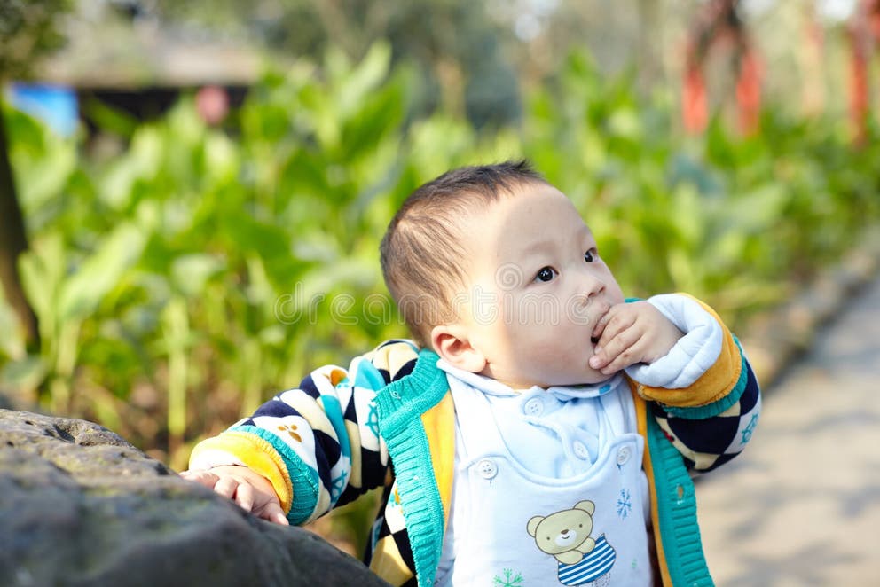 Baby peep out of the stone stock photo. Image of peek - 48251448