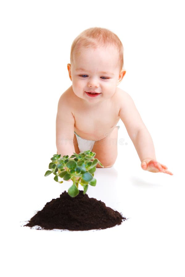 Baby with plant stock image. Image of lifestyle, interested - 13251695