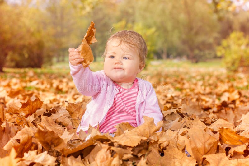 28,762 Baby Autumn Leaves Stock Photos - Free & Royalty-Free Stock ...