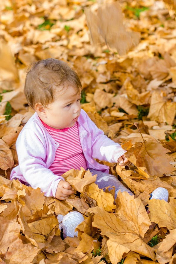 28,762 Baby Autumn Leaves Stock Photos - Free & Royalty-Free Stock ...