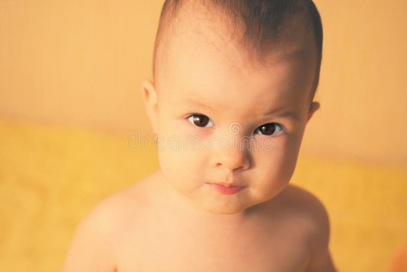 Baby Portrait . Child Face Close-up Stock Photo - Image of face, bald ...
