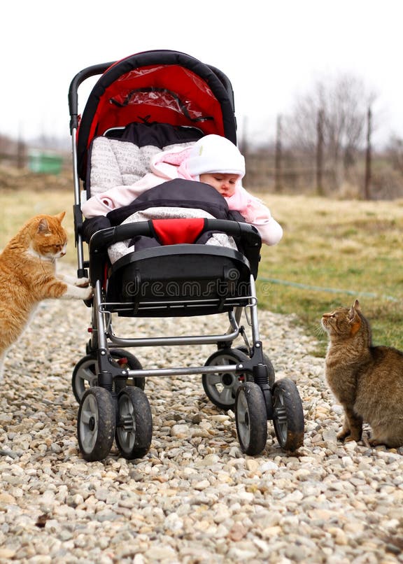 Baby in pram and two cats stock image. Image of carrying - 29305723