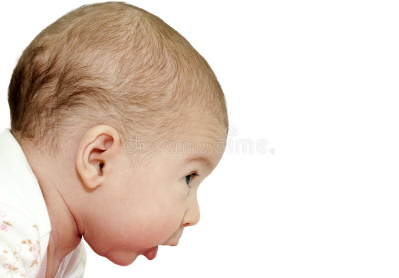 Baby profile stock image. Image of baby, isolated, funny - 28022845