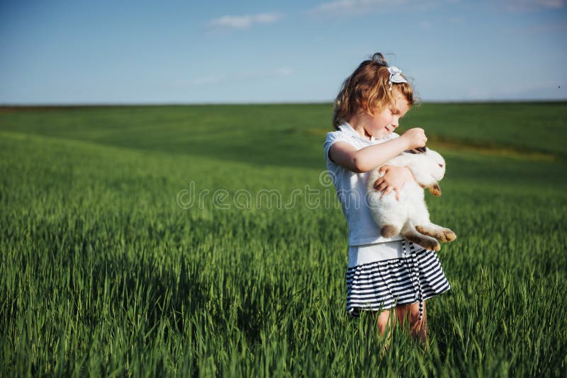 Baby Rabbit in a Field of Green Wheat Stock Photo - Image of love ...