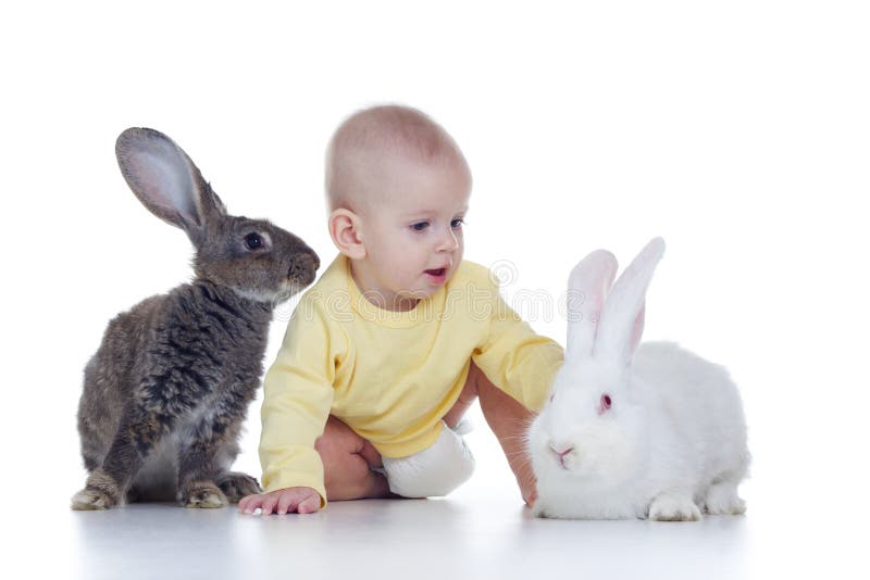 Twin Newborn Babies in Bunny Rabbit Costumes Stock Image - Image of ...