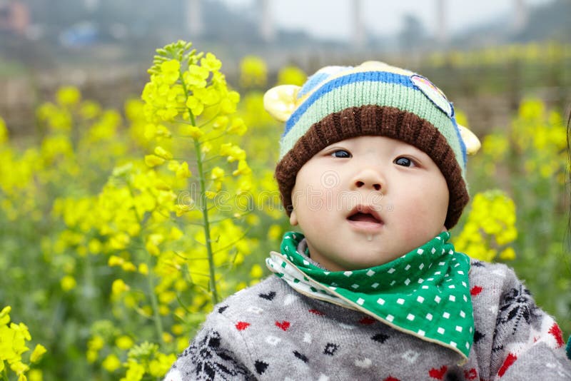 Baby in the field stock image. Image of nature, plant - 50591959
