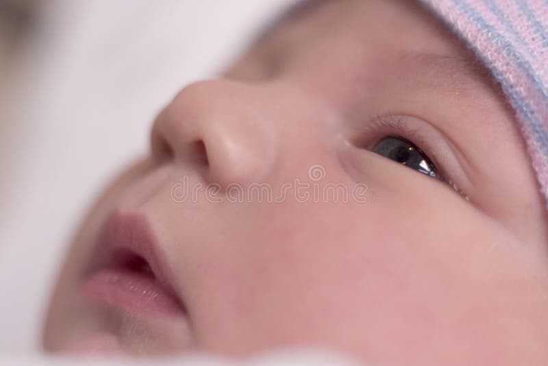 Baby resting stock photo. Image of relax, newborn, tiny - 641794