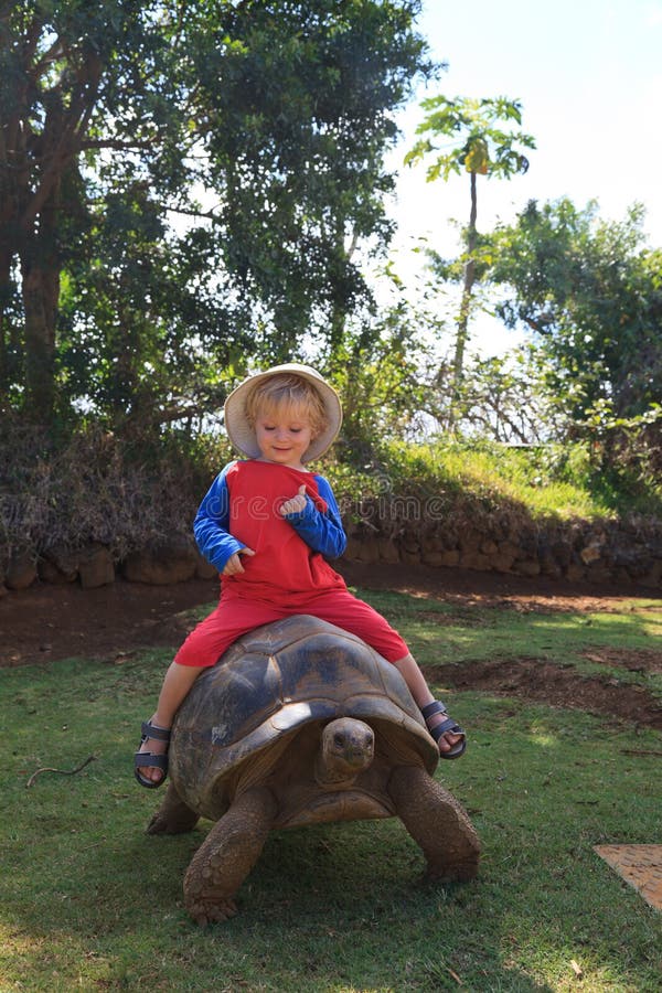 Riding Giant Turtle stock photo. Image of activity, tropics - 7470818