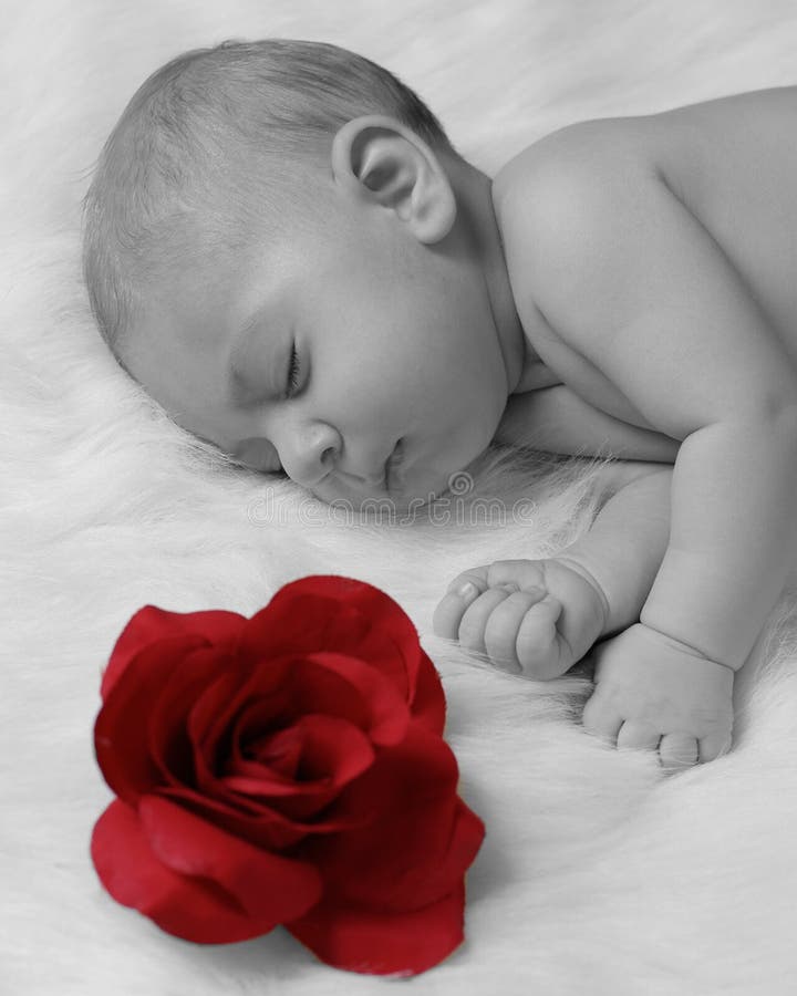 Baby with rose stock photo. Image of infant, rose, sleeping - 4515750