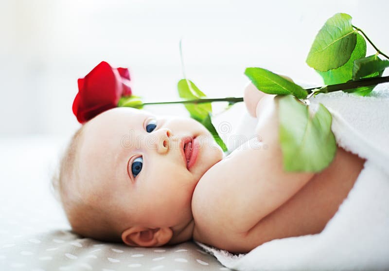 Baby and rose stock image. Image of smelling, blue, female - 39660363