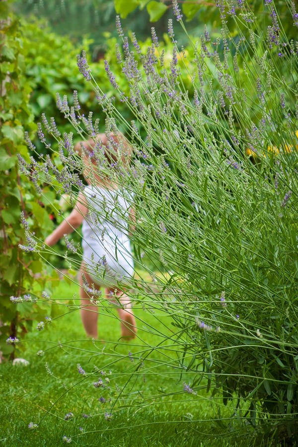 Baby running in the garden stock image. Image of young - 19476877