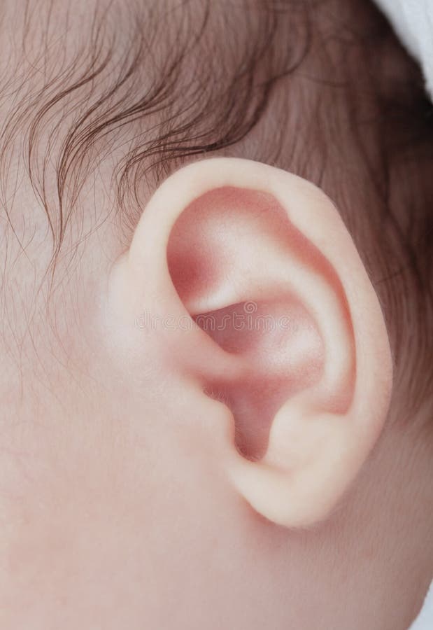 Ear of baby boy stock photo. Image of healthy, person - 32990048