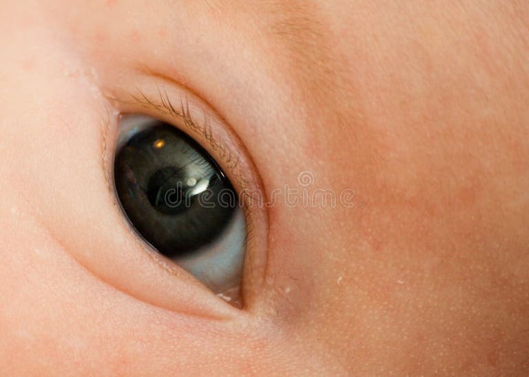 Babys Eye Sight Stock Photos - Free & Royalty-Free Stock Photos from ...