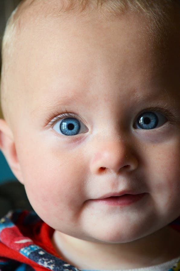 Babys face stock photo. Image of kiddy, moppet, eyed - 52555162