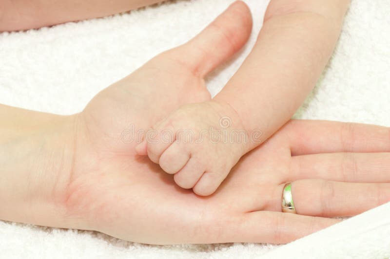 The baby s fist stock image. Image of hand, massage, father - 27674505