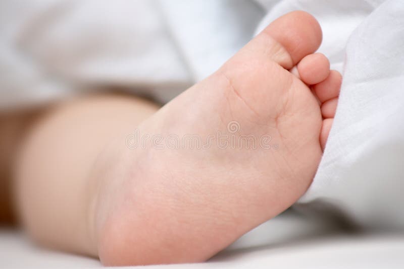 Baby's Foot Picture. Image: 3874670