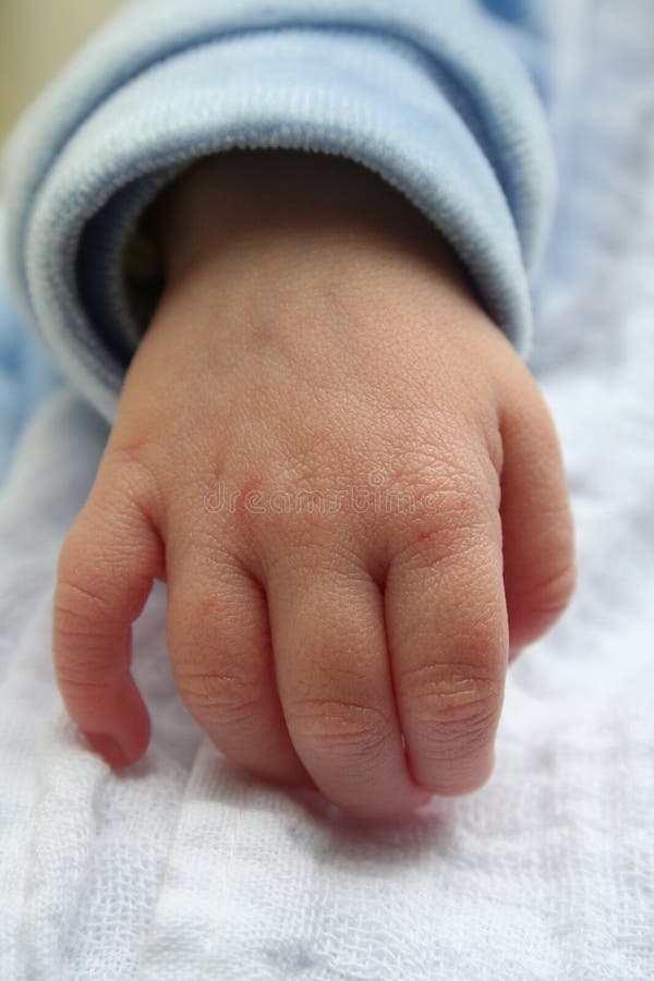 Baby s hand stock photo. Image of childhood, hands, beginning - 2444244