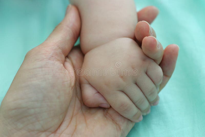 Baby s hand in mum s hand stock image. Image of hands - 11077821