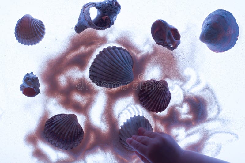 Babyâ€™s Hand, Sand and Seashells on Light Table. Stock Photo - Image ...