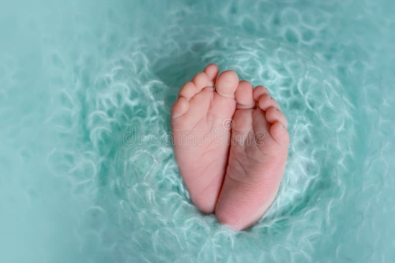 Baby`s Legs, Newborn`s Legs, Space for Text Stock Image - Image of ...