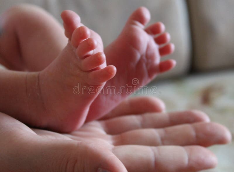 Baby heels stock image. Image of closeup, feet, family - 365413