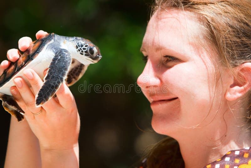 Little Girl Holding A Baby Sea Turtle Stock Image - Image of farm ...